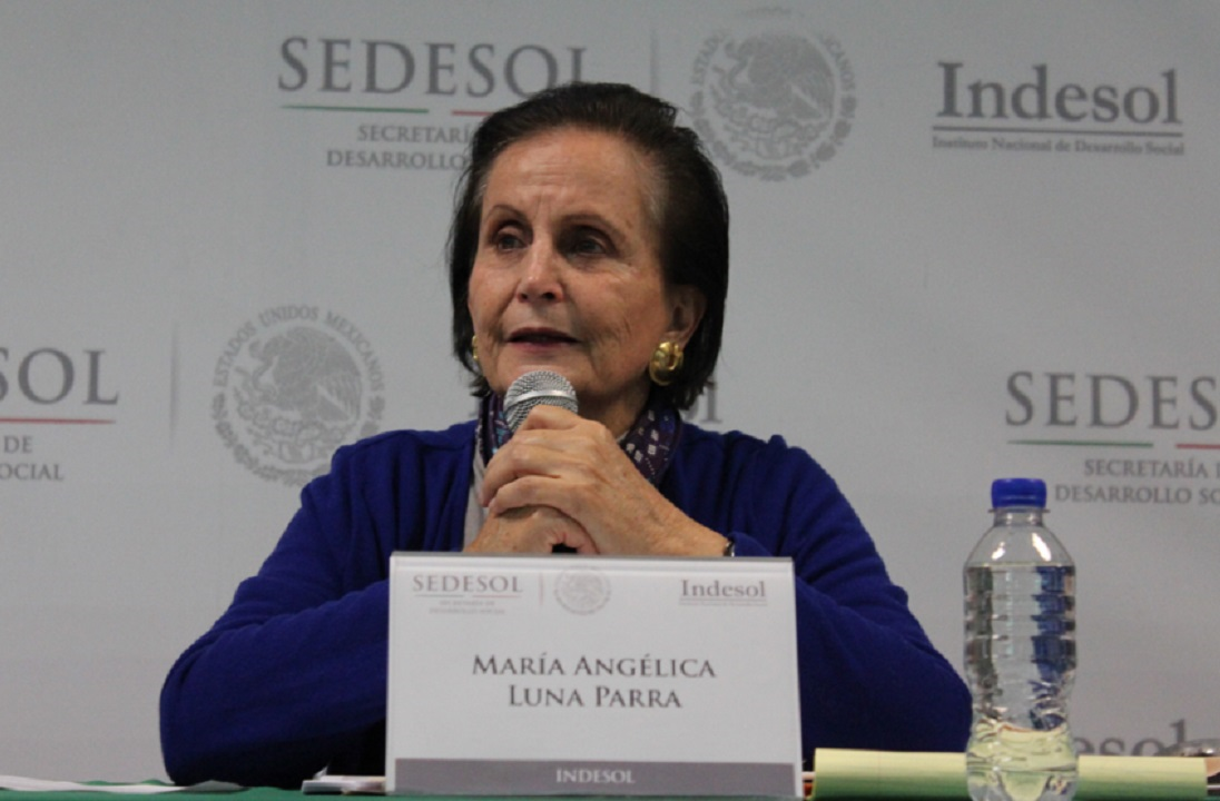 Fallece Angélica Luna Parra, titular del Indesol - Mujer es Más