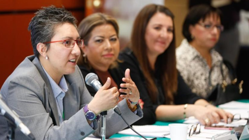 CONAVIM: La violencia contra las mujeres ya es "emergencia nacional ...