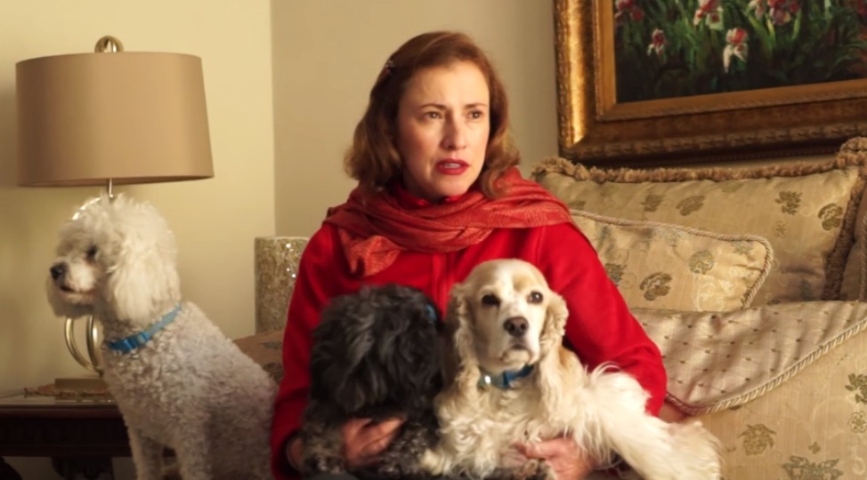 «ENTREVISTA» Elena Chávez, la Constituyente que protege a los animales ...