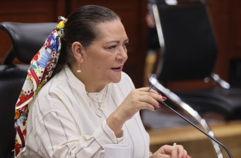 INE ha sido leal al mandato constitucional: Guadalupe Taddei - Mujer es ...