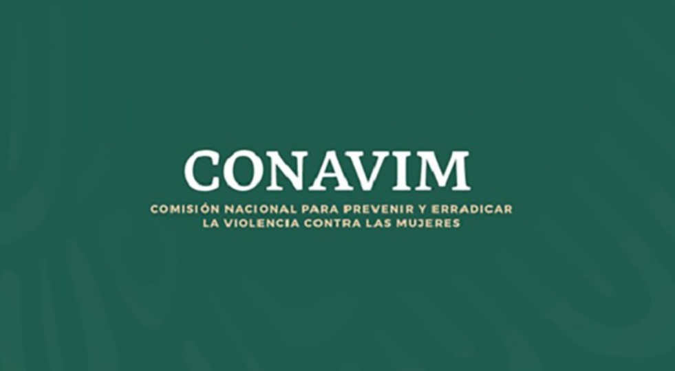Extrabajadoras de CONAVIM denuncian violación a sus derechos laborales ...