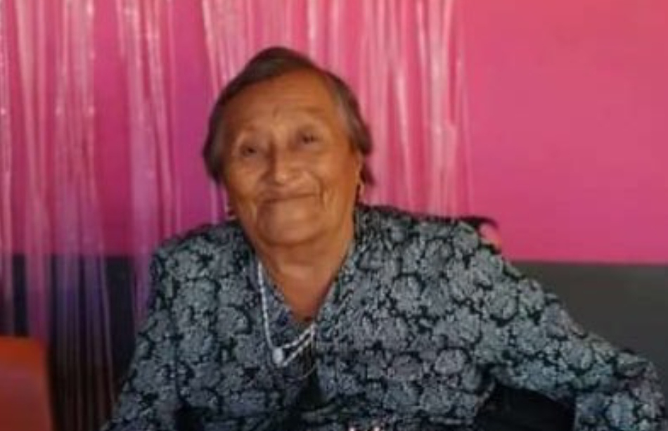 Falleció Leonila Vázquez, fundadora de Las Patronas; deja legado de 30 ...